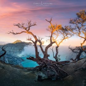 Im Gespräch mit Fabio Antenore - Ein Update | SIGMA BLOG