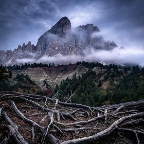 Im Gespräch mit Fabio Antenore - Ein Update | SIGMA BLOG