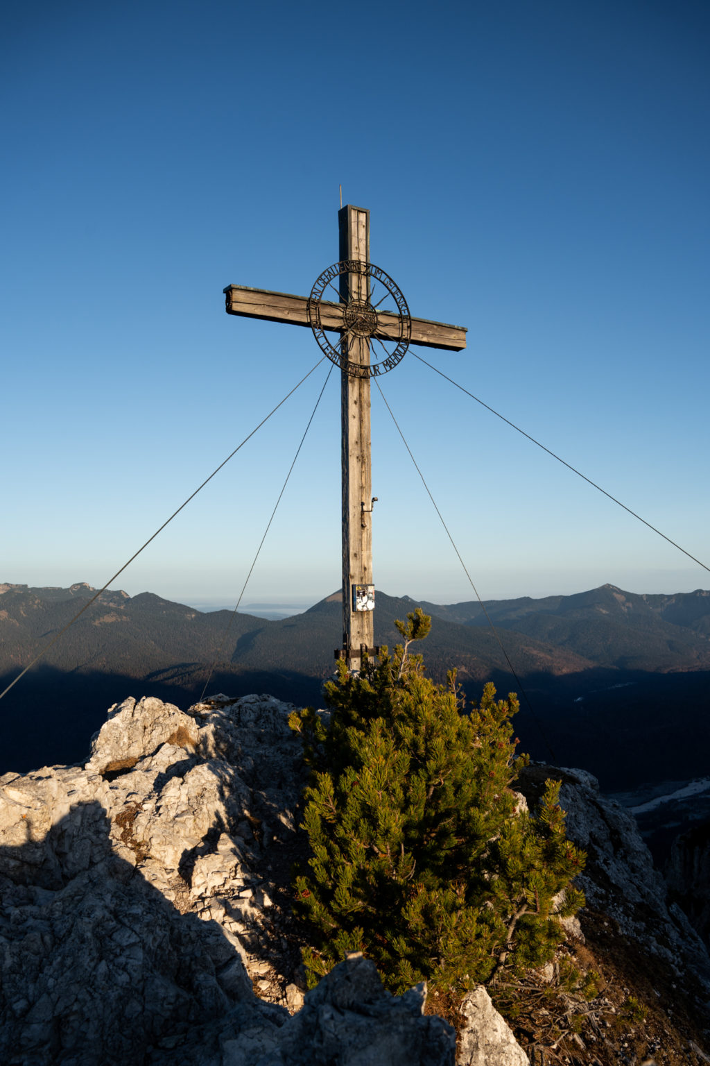 Von Gämsen im Morgenlicht | SIGMA BLOG